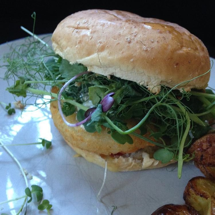 Organic Pea - Pure Microgreens | New Zealand